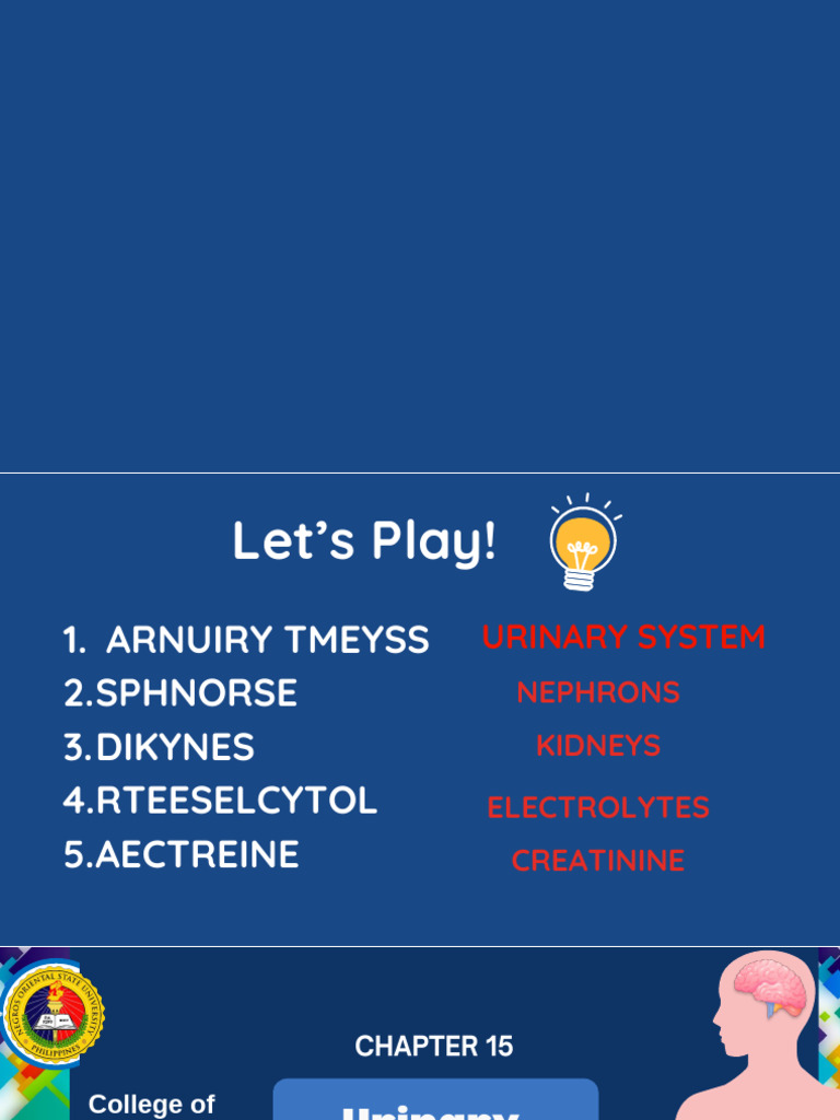 Urinary System | Download Free PDF | Kidney | Buffer Solution