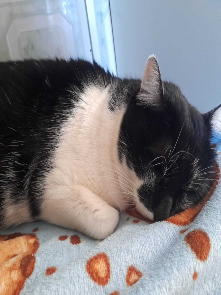 Img 20230519 Wa0007 | PDF