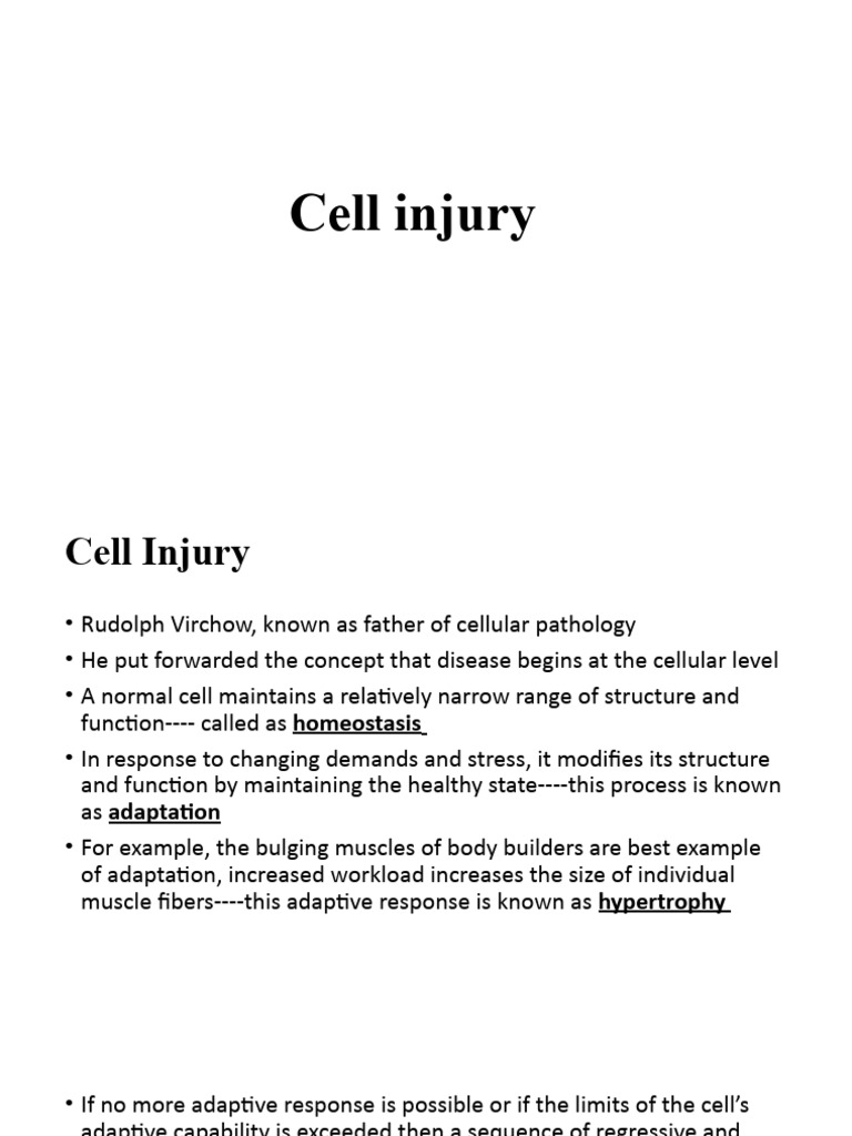 Understanding Cell Injury And Its Causes Pdf