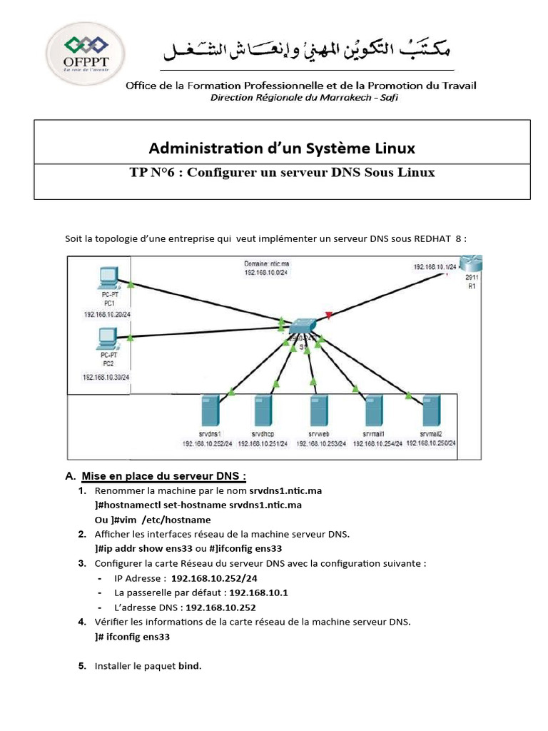 TP DNS | PDF | Système de noms de domaines | Architecture (Informatique)