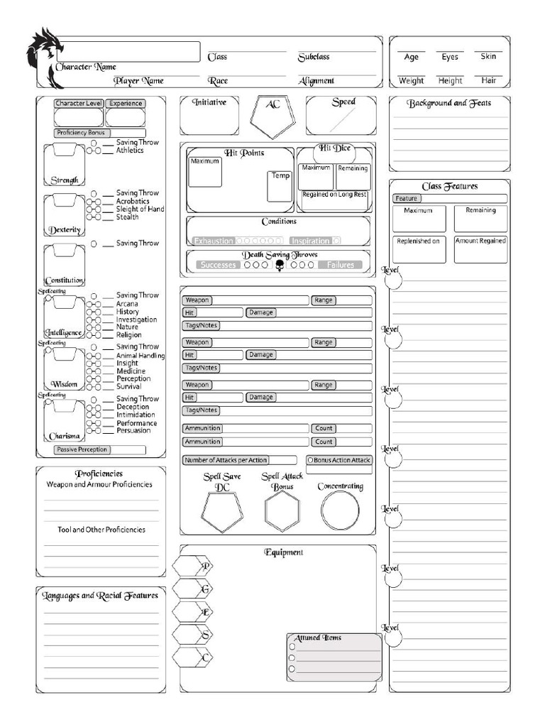 DND Character Sheet | PDF
