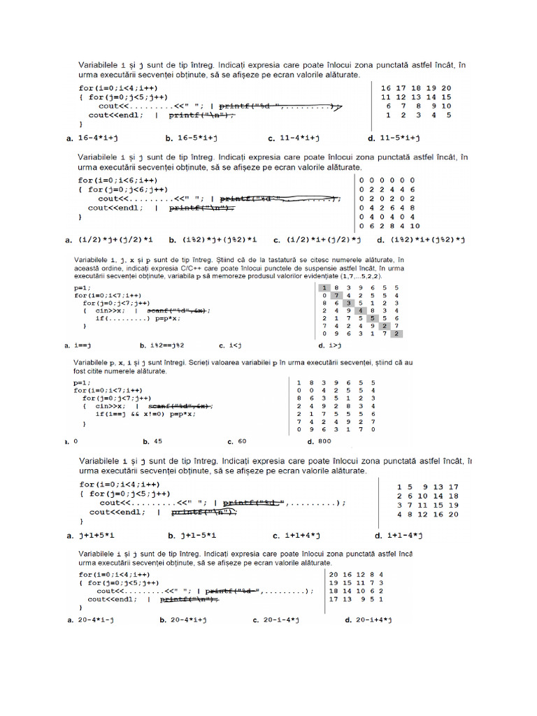 Grile Informatica | PDF