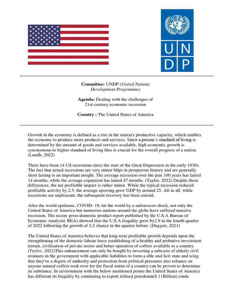 Position paper USA (UNDP) | Download Free PDF | Recession | Federal Reserve