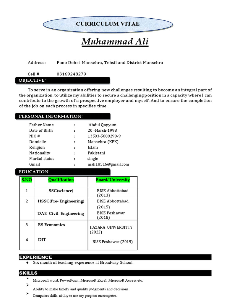 Muhammad Ali's Resume Summary | PDF