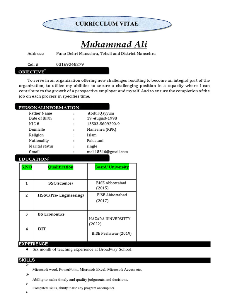 Ali Resume | PDF
