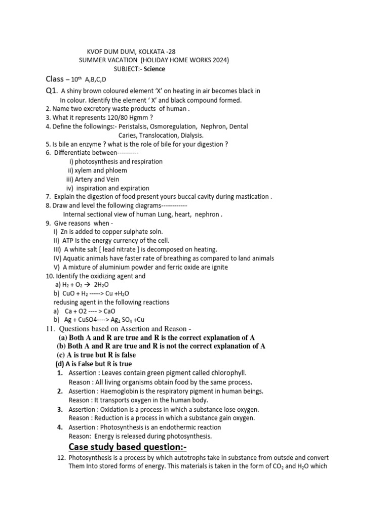 Summer Vacation HHW 2024 | PDF | Blood Pressure | Photosynthesis