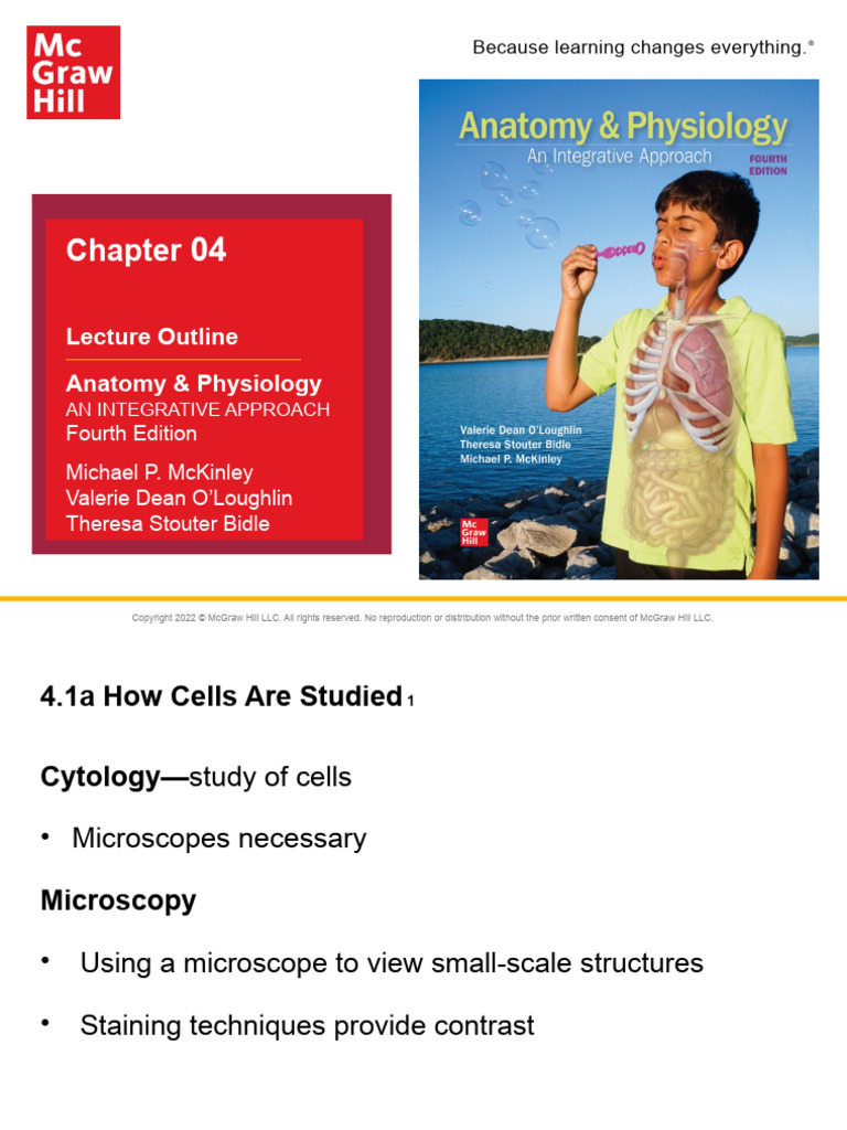 McKinley A&p 4e Chap004 PPT Accessible | PDF | Endoplasmic Reticulum ...