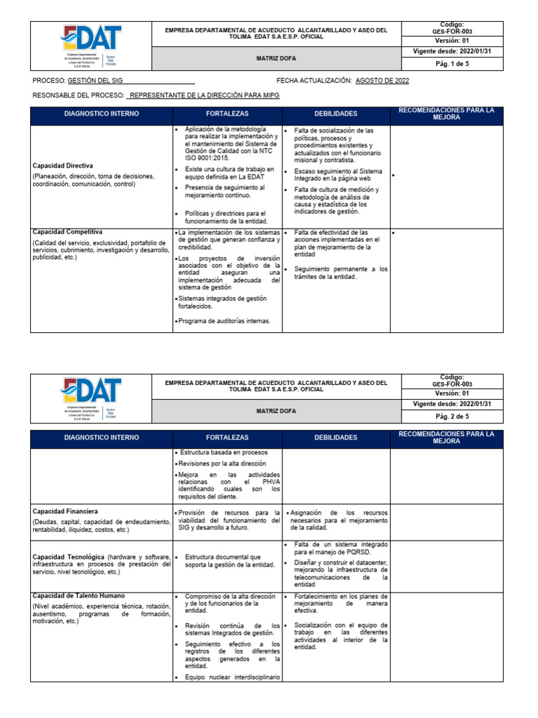 Matriz DOFA - SIG | PDF | Análisis FODA | Business