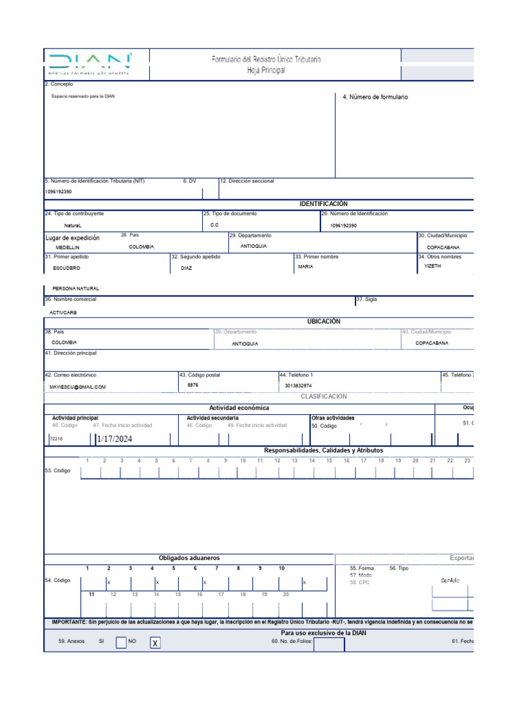 11-Rut-Dian-Formulario-001 FVG | PDF | Justicia | Crimen y violencia