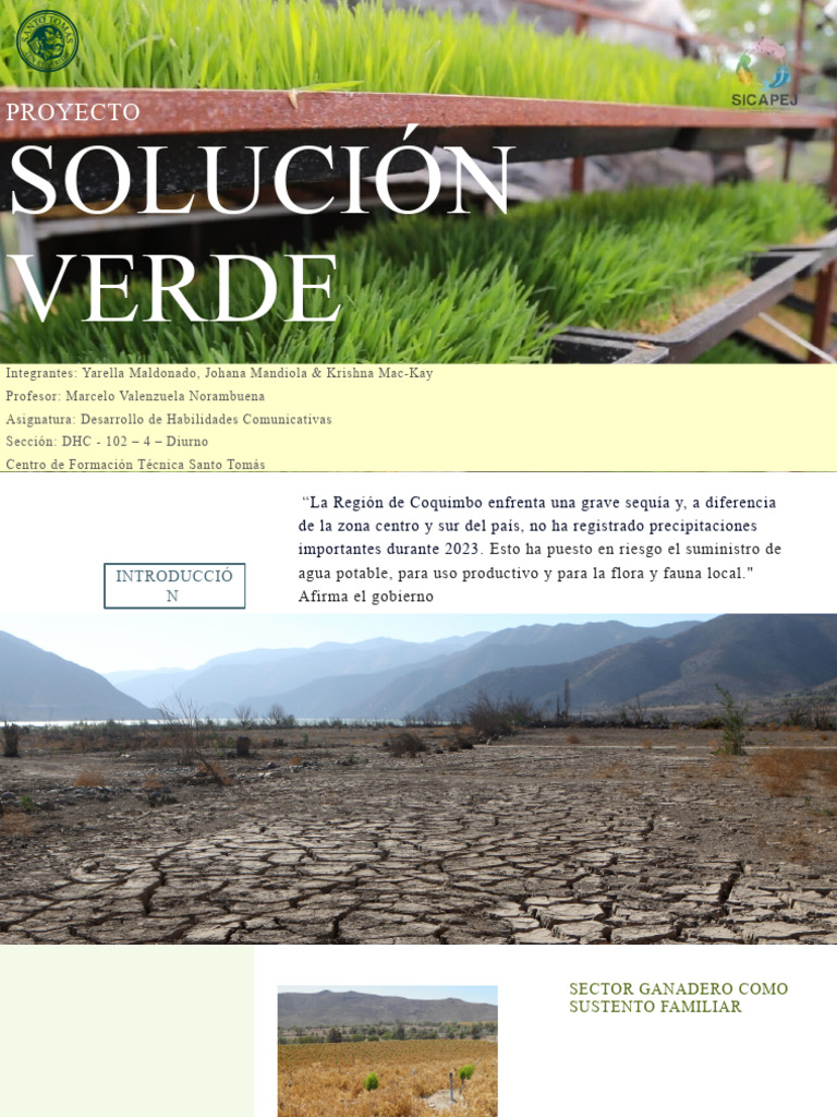 Proyecto Verde | PDF | Mercado (economía) | Economias