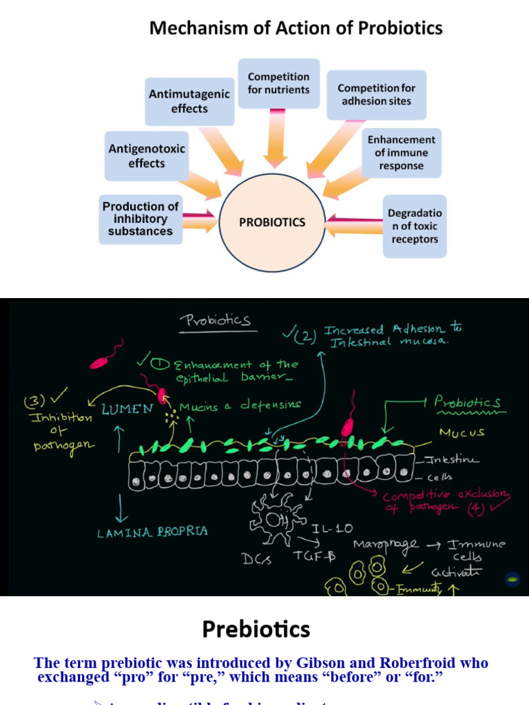Mechanism of Action of Probiotics | PDF | Wellness | Technology ...