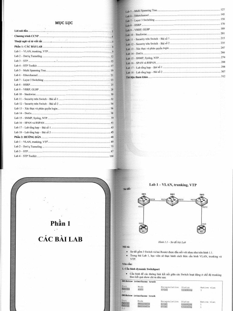 Lab CCNP Switch-P1 | PDF