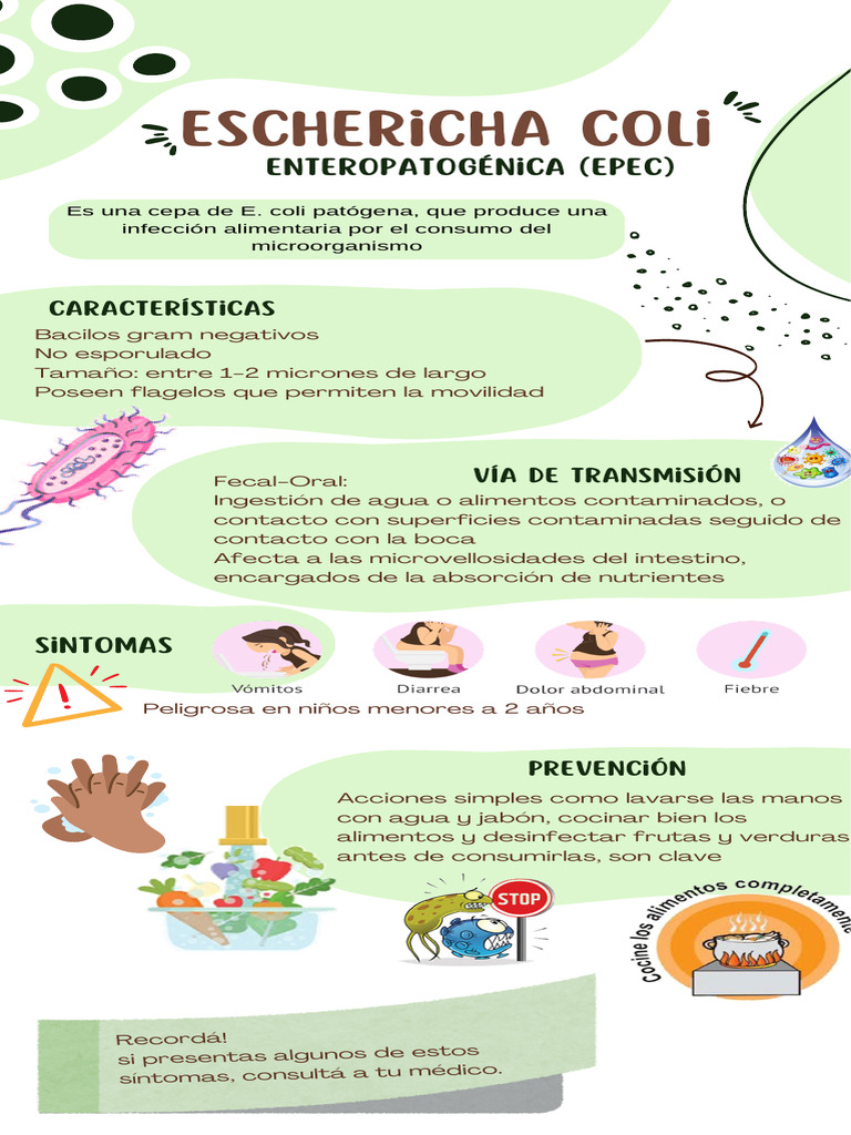Infección Alimentaria por E. coli | PDF