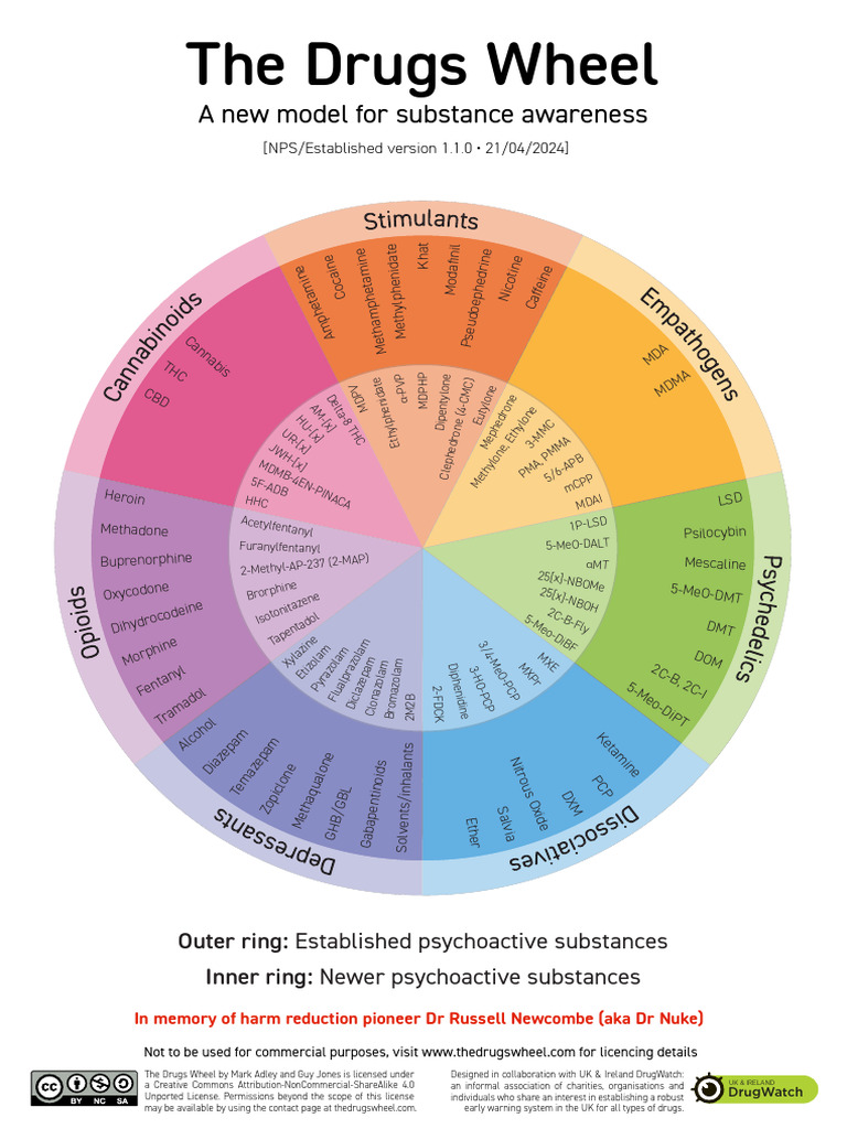 TheDrugsWheel IntlEng 1 1 0 | PDF | Pharmacy | Drugs