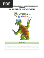 Anatomie de La Région Inguinale | PDF | Appareil locomoteur | Tissu mou