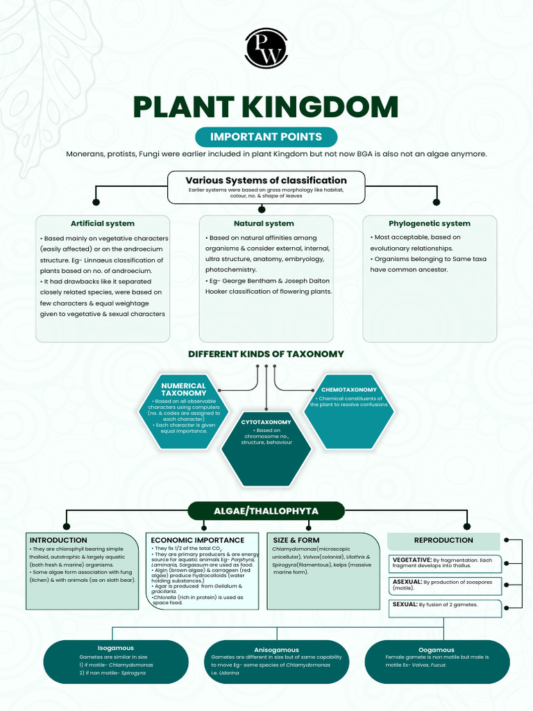 Plant Kingdom Overview and Classification | PDF | Sexual Reproduction ...