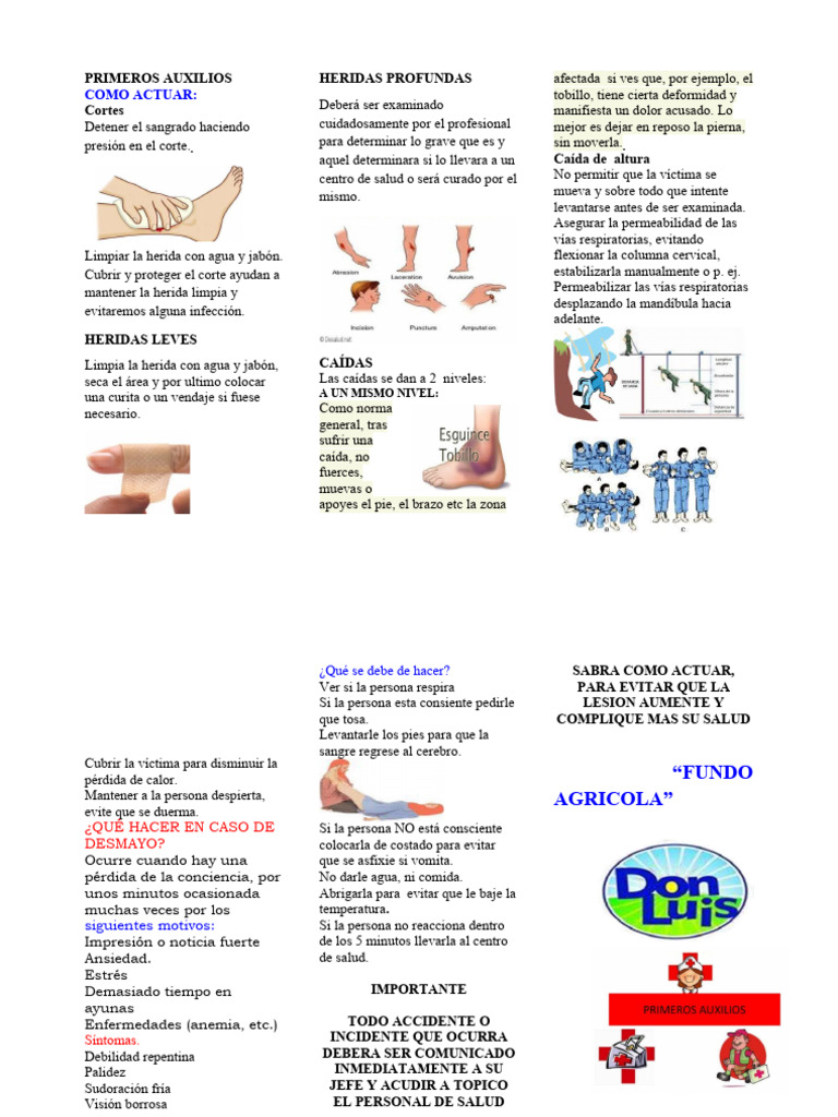 TRIPTICO DE PRIMEROS AUXILIOS | Descargar gratis PDF | Herida | Primeros auxilios