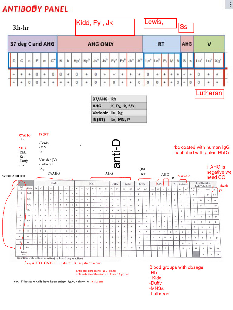 Antibody Detection Summary | PDF | Serology | Immune System