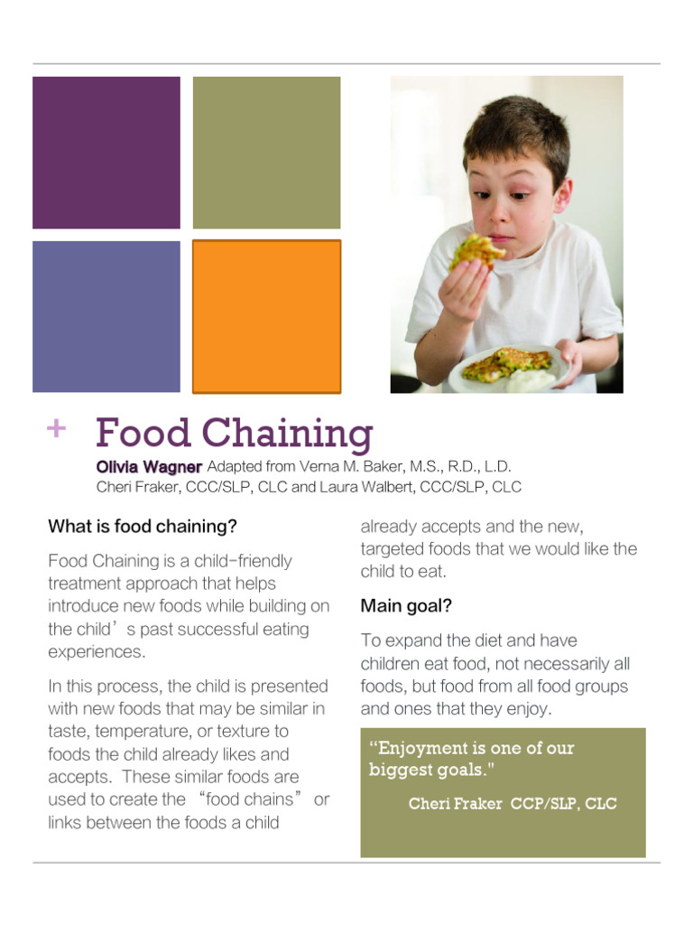 Parents' Guide to Food Chaining | PDF | Vegetables | Cuisine