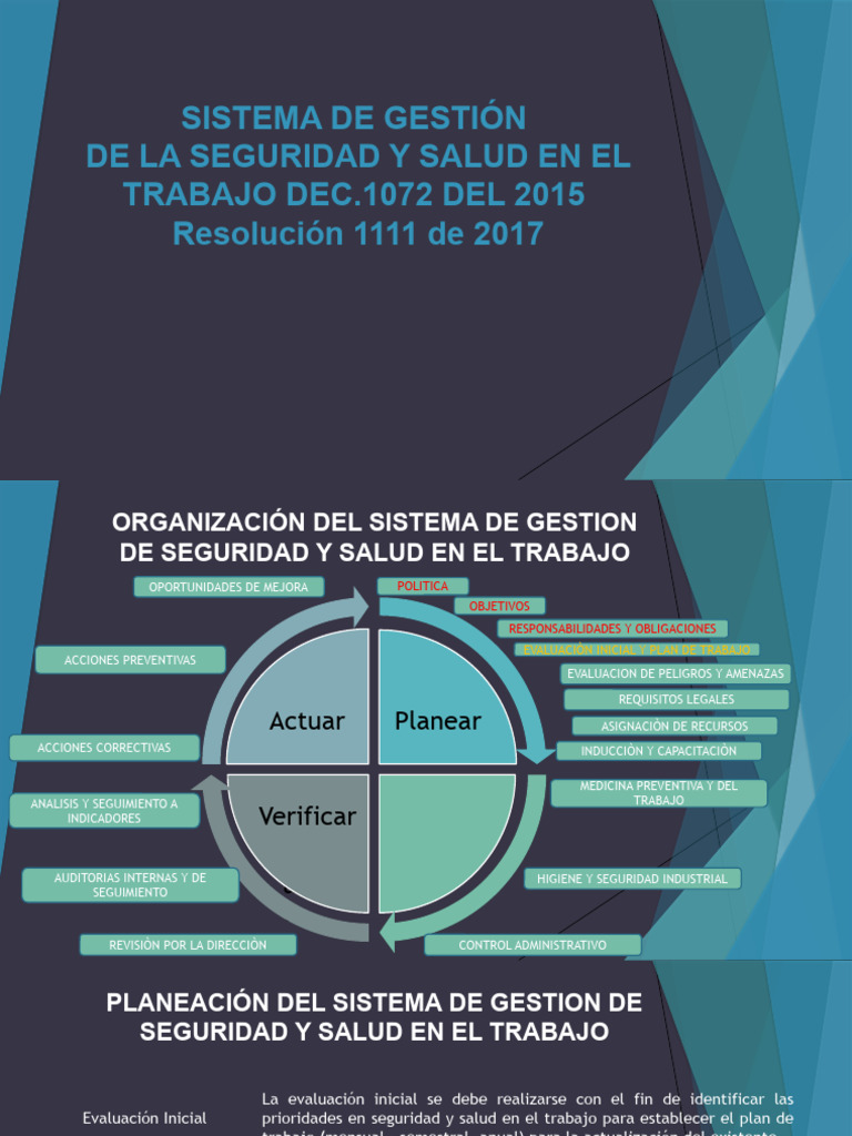 QUE ES UN SISTEMAS DE GESTION EN SST SEGUN NORMNATIVIDAD | Descargar gratis PDF | Planificación