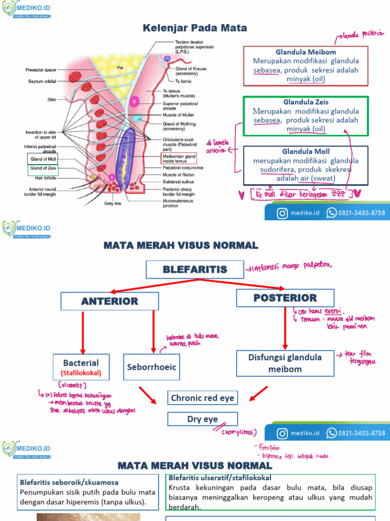 Biko Blefaritis + Mediko | PDF