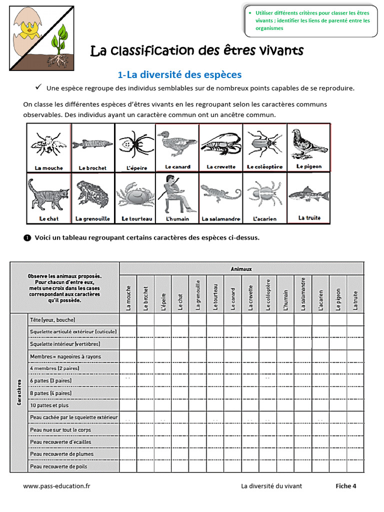 Classification des êtres vivants en 6ème | PDF | Espèces | Tigre
