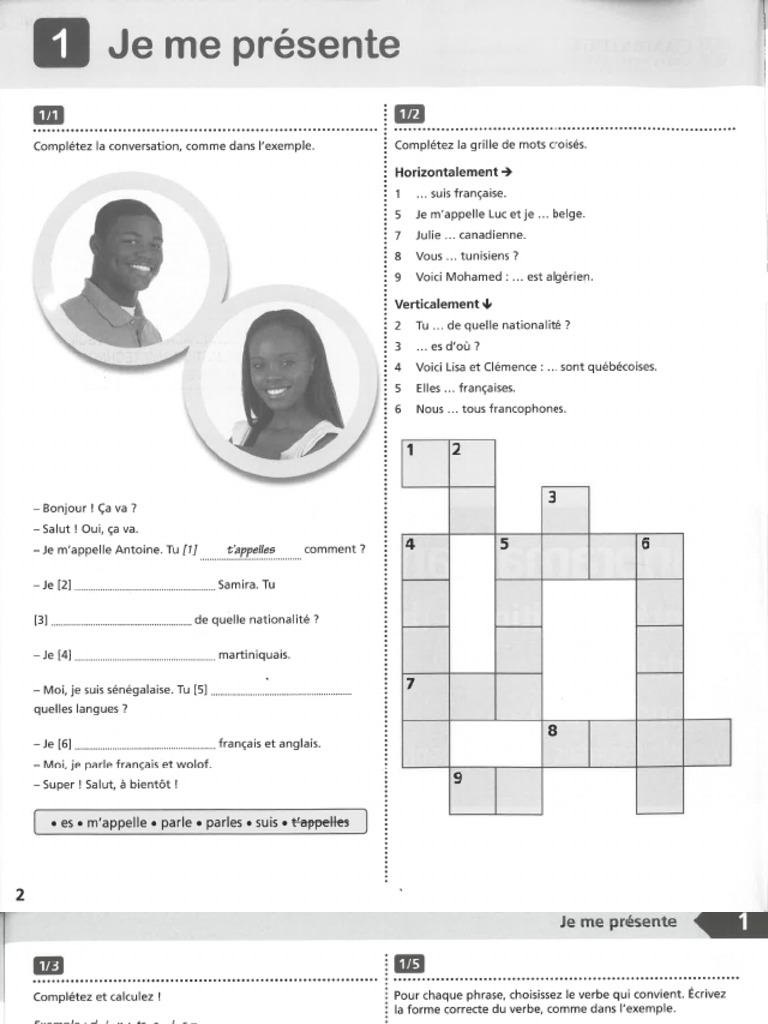 Panorama Francophone 1 (French Ab Initio) - Workbook - Bourdais and ...