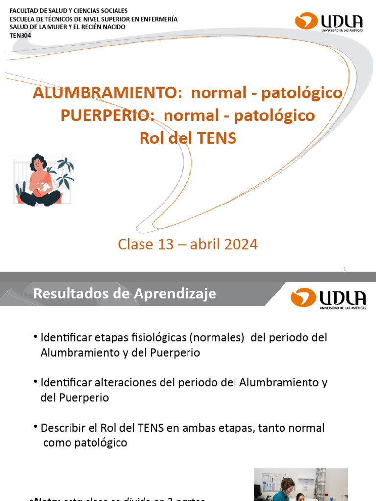 CLASE 13 Alumbramiento y Puerperio Normal y Patológico 2024 | PDF ...