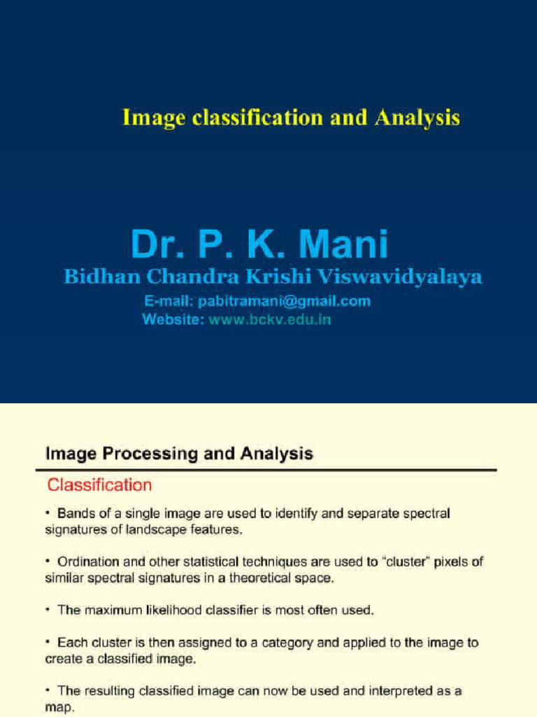 Image Classification | PDF