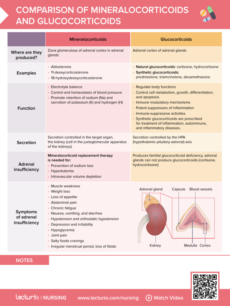 Nursing_CS_Comparison-of-Mineralocorticoids-and-Glucocorticoids_01-2 ...