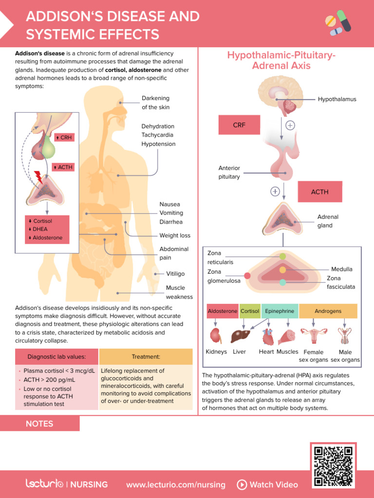 Nursing - CS - Addisons Disease and Systemic Effects | PDF | Adrenal ...