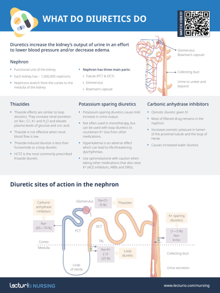 NURS - CheatSheet - What Do Diuretics Do | PDF | Kidney | Genitourinary ...
