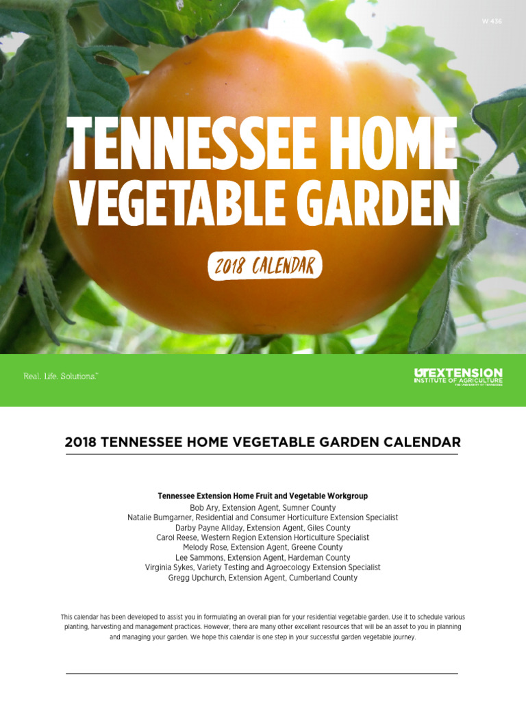 Tennessee Home Vegetable Garden Guide | PDF | Tomato | Seed