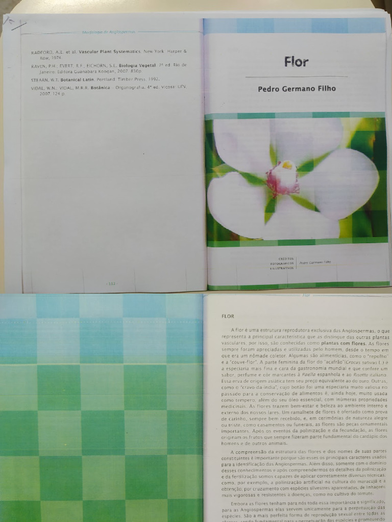 Capitulos Do PDF Botanica | PDF