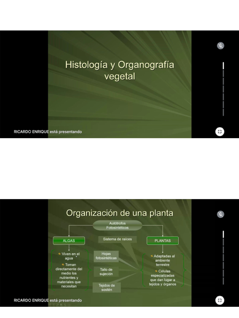 Histología y Organografía Vegetal | PDF