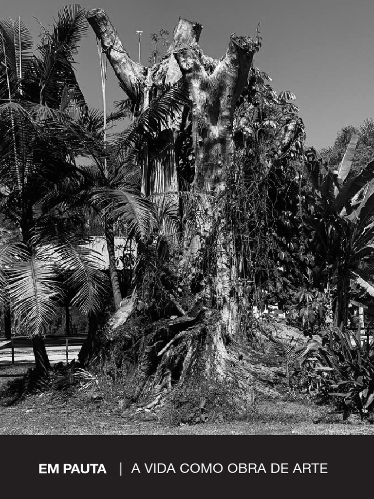 Entre A Poética e A Estética - Um Inusitado Encontro Da Psicanálise Com ...