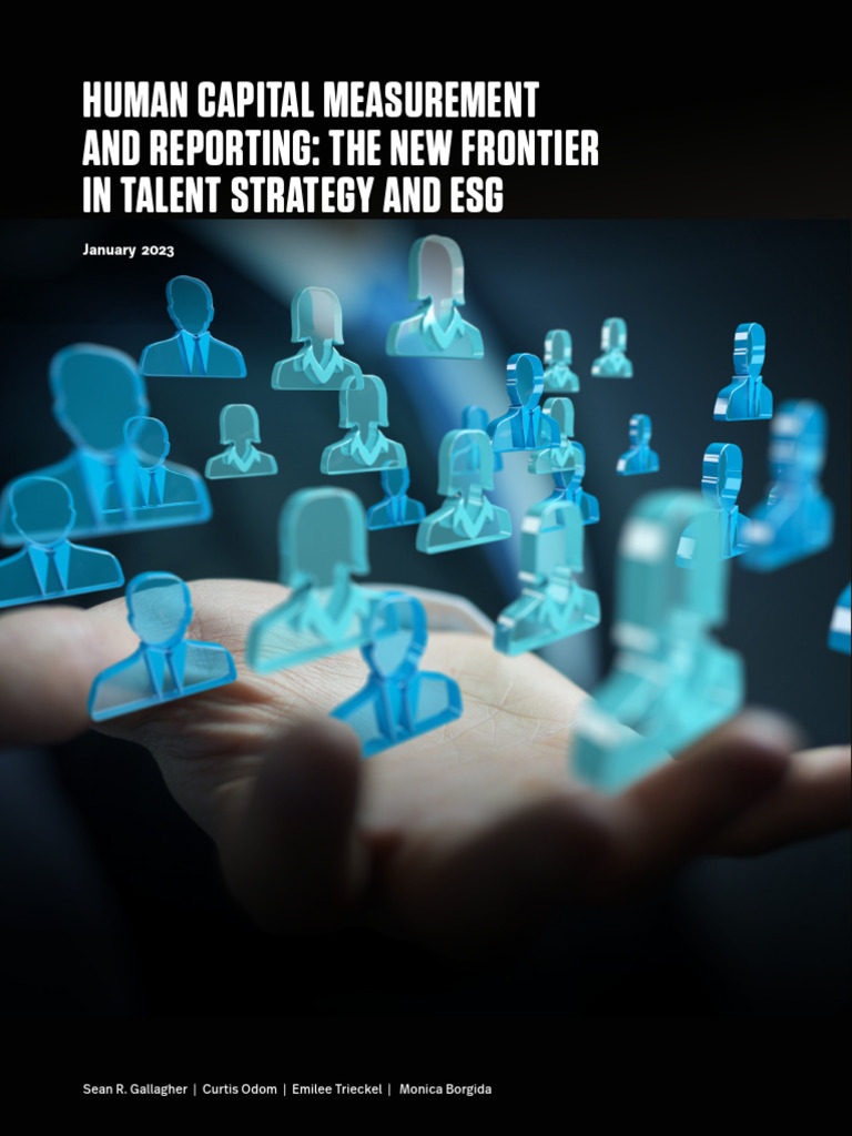 HRSGN-Human Capital Measurement and Reporting | PDF | Human Resource ...