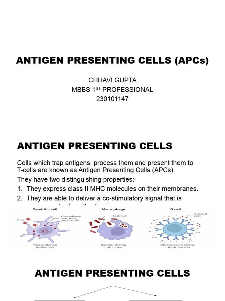 Antigen Presenting Cells Overview | PDF | Antigen | Major ...