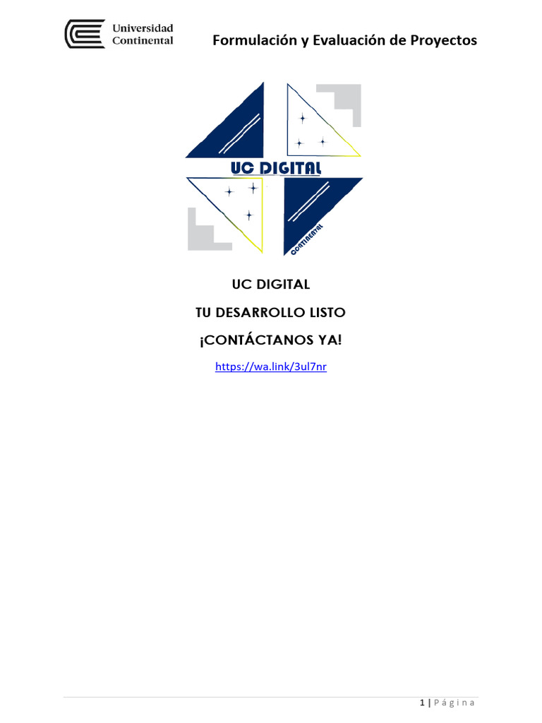 Pa2 Formulacion e Val. de Proyectos | PDF | Marketing | Evaluación