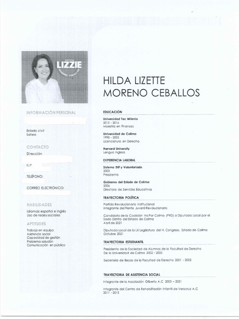 Dip Hilda Lizette Moreno Ceballos | PDF