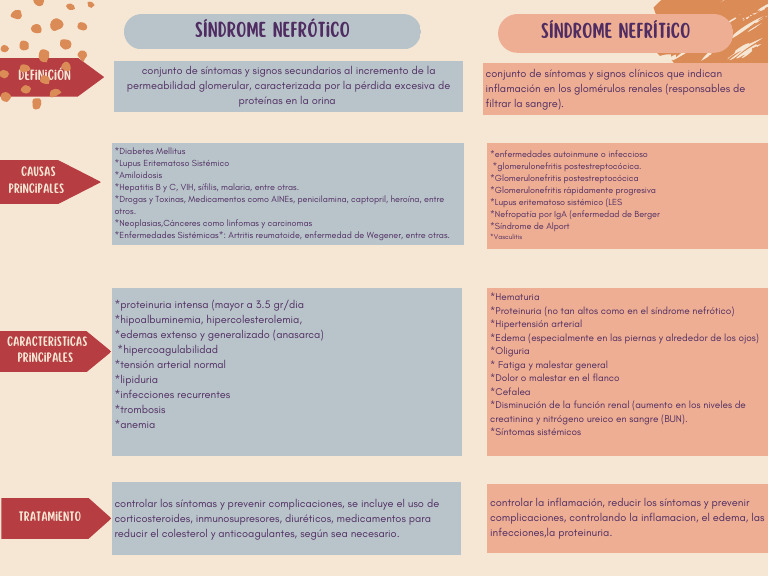 Cuadro Comparativo Nefro | PDF | Condiciones urológicas | Enfermedades y trastornos