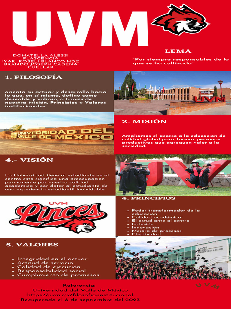 INFOGRAFÍA UVM | PDF