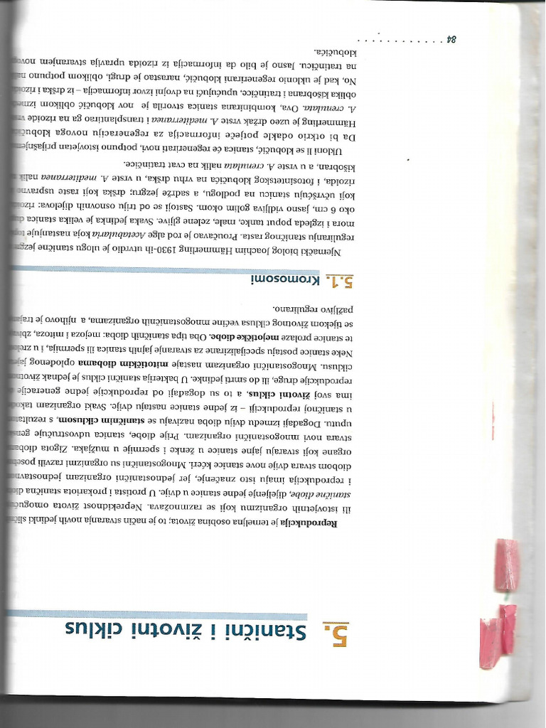 Stanicni I Zivotni Ciklus | PDF