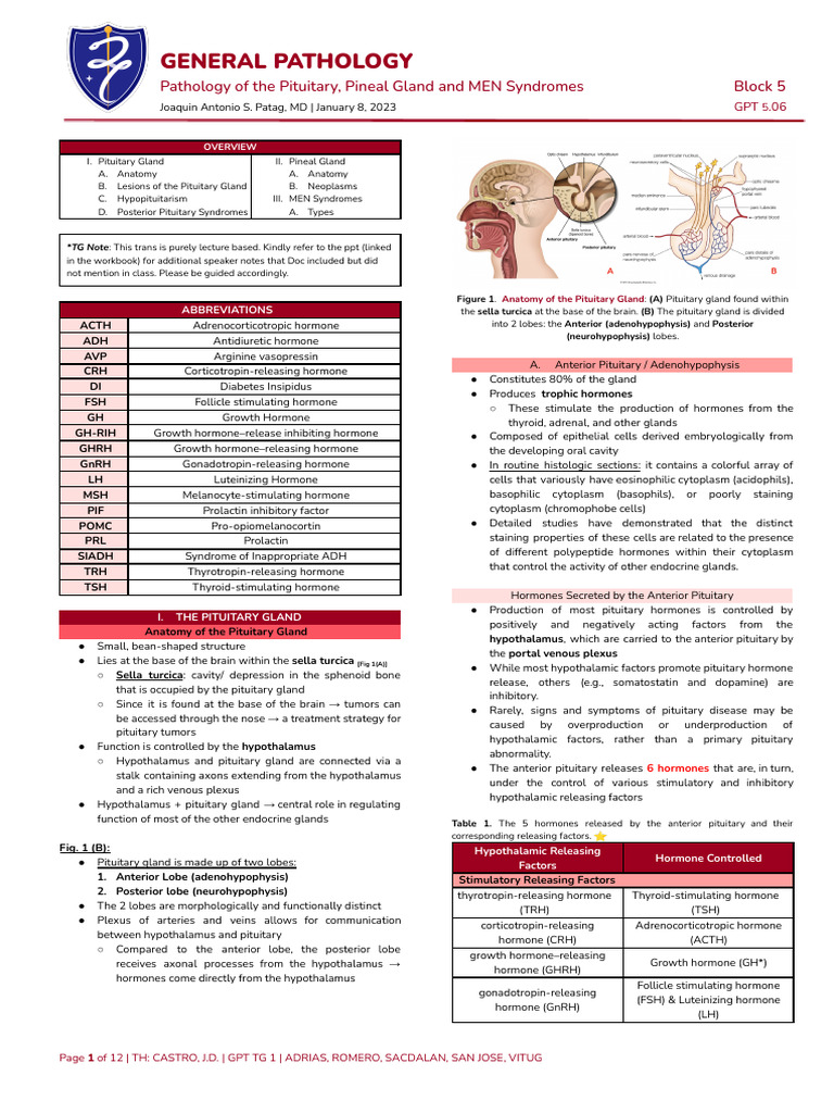 GPT 5.06 Pathology of The Pituitary, Pineal Gland and MEN Syndromes ...