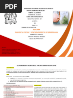 Guía de DPPNI: Diagnóstico y Cuidados | PDF | Parto | Parto prematuro