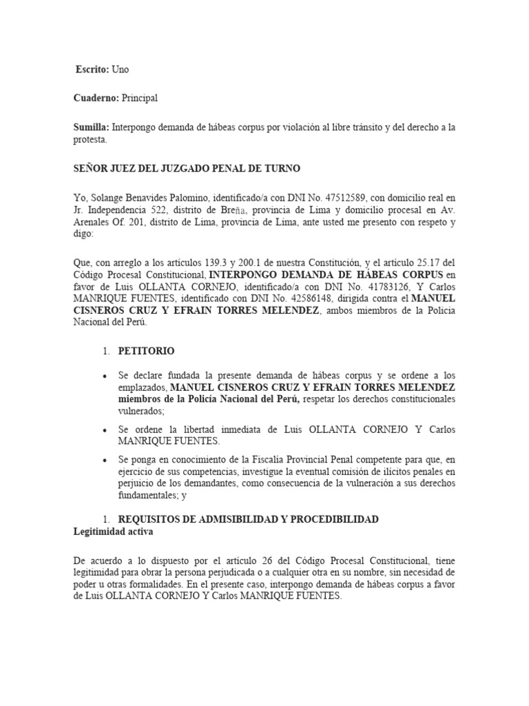 DEMANDA HC | PDF | Habeas corpus | Demanda judicial