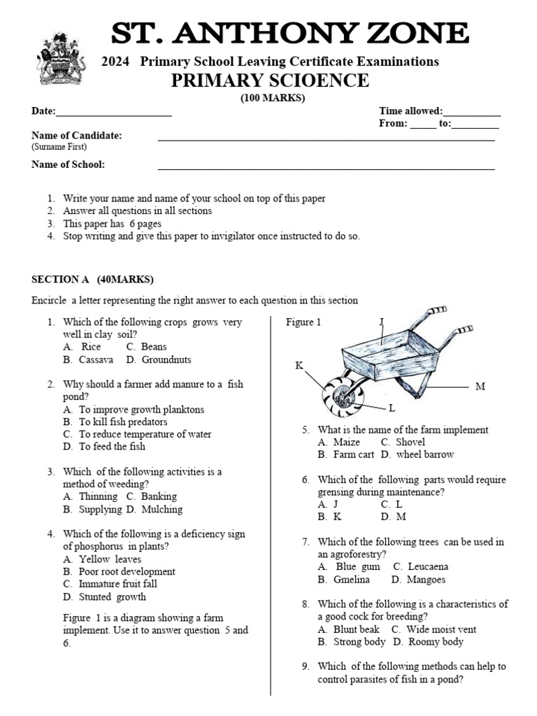 Primary Science 6 | PDF | Blood | Pest (Organism)