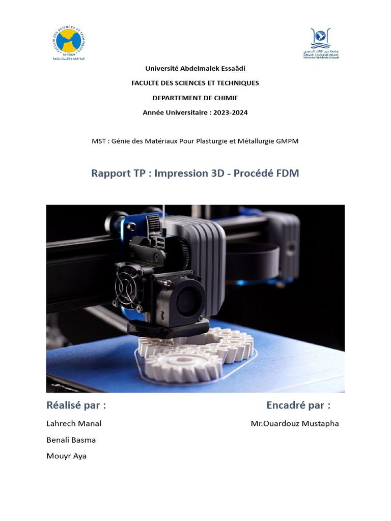 Rapport sur l'impression 3D FDM | PDF | Impression 3D | Secteur ...