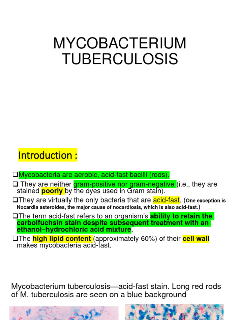 8 Mycobacterium Tuberculosis Pdf Tuberculosis Mycobacterium