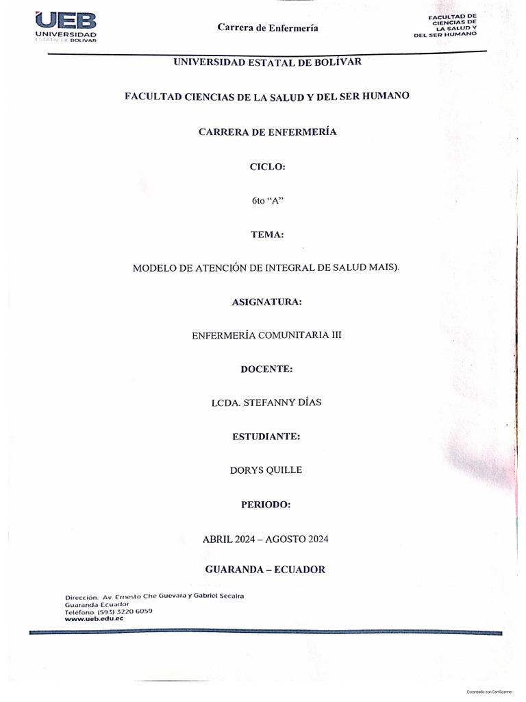 Mapa Conceptual Del Modelo Integral de Salud (MAIS) | PDF